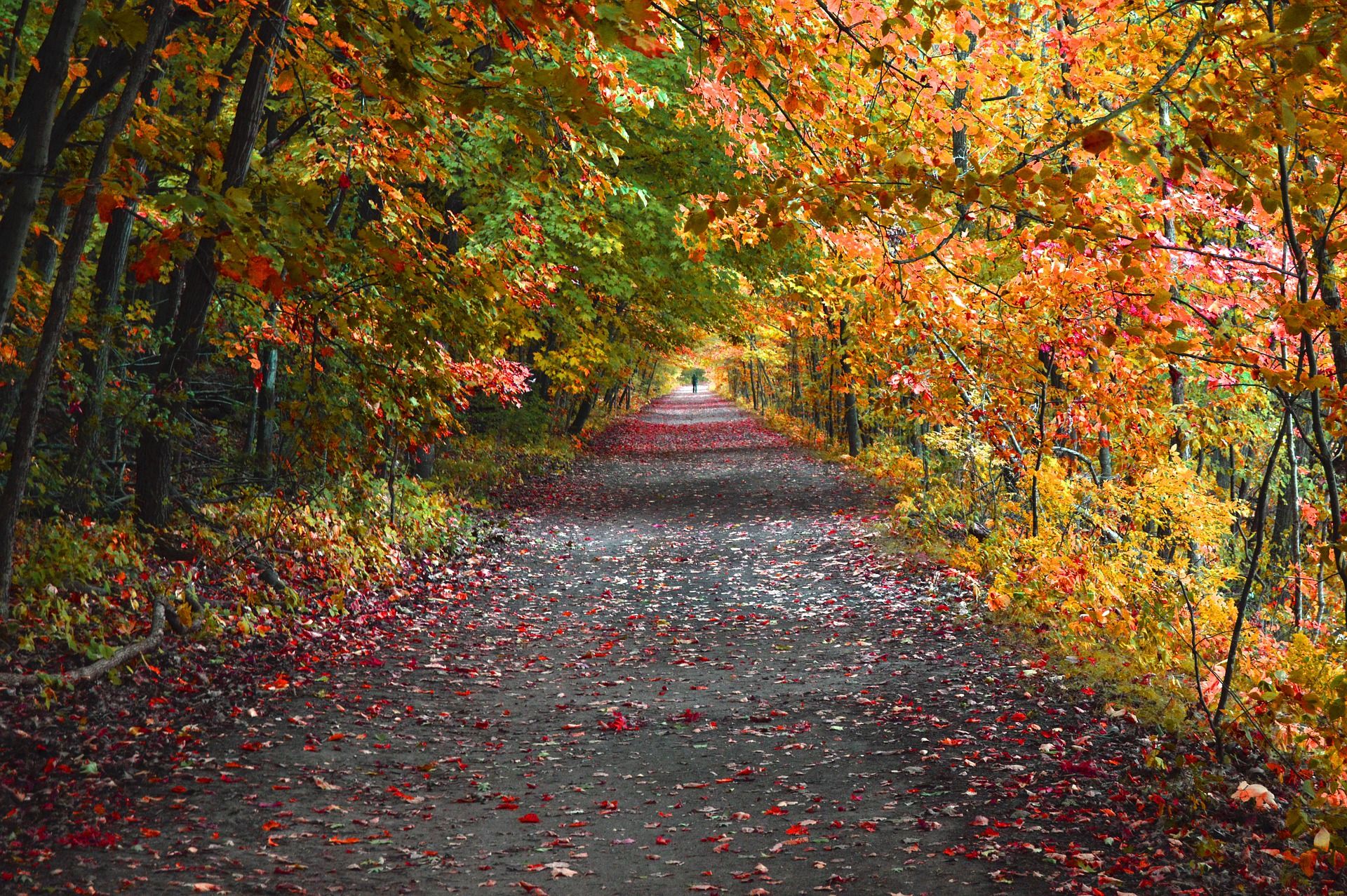 » 2020 Autumn Holidays